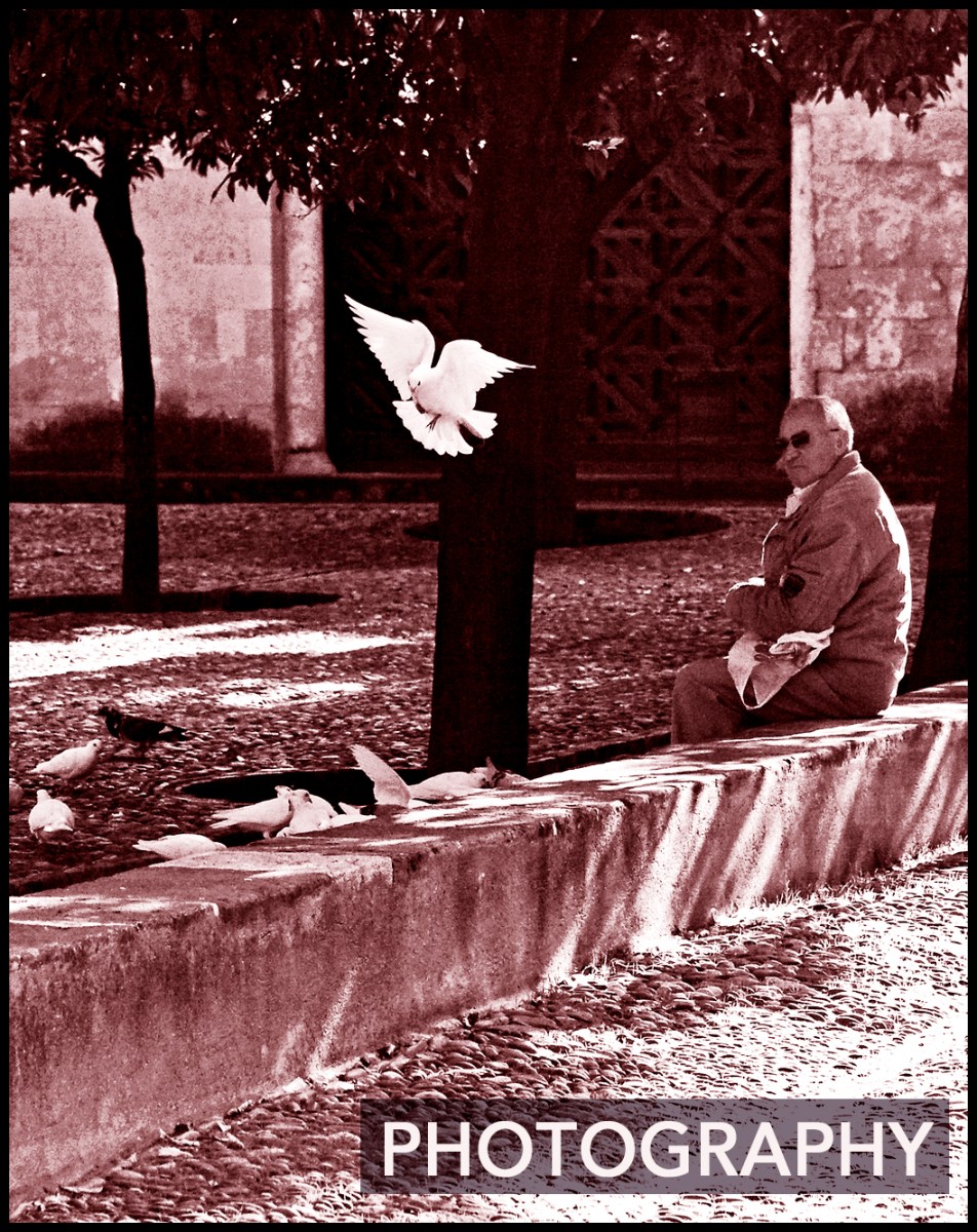 Photography – Lorraine Devon Wilke